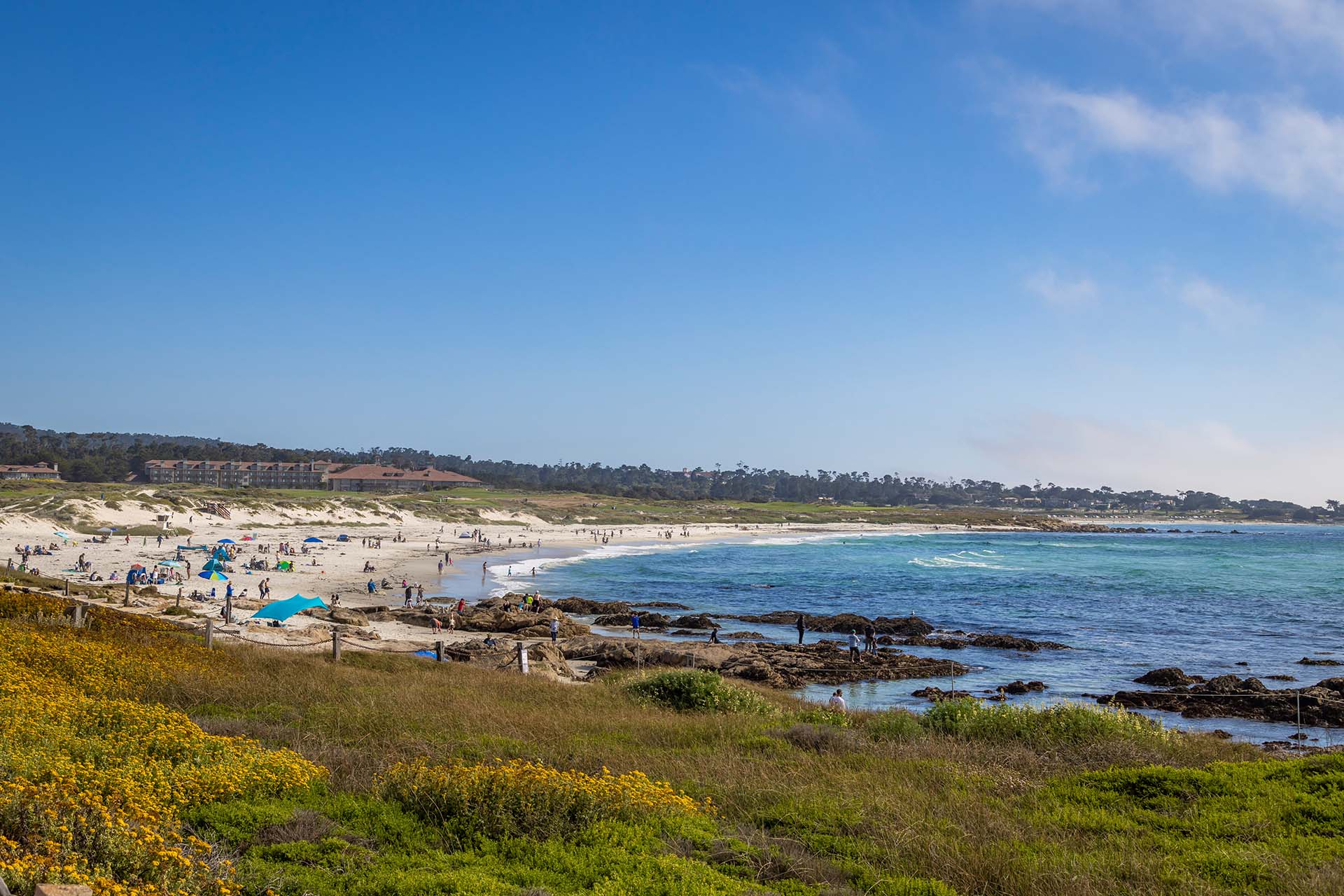 The Best Beaches Near Marina Station on the Monterey Coast